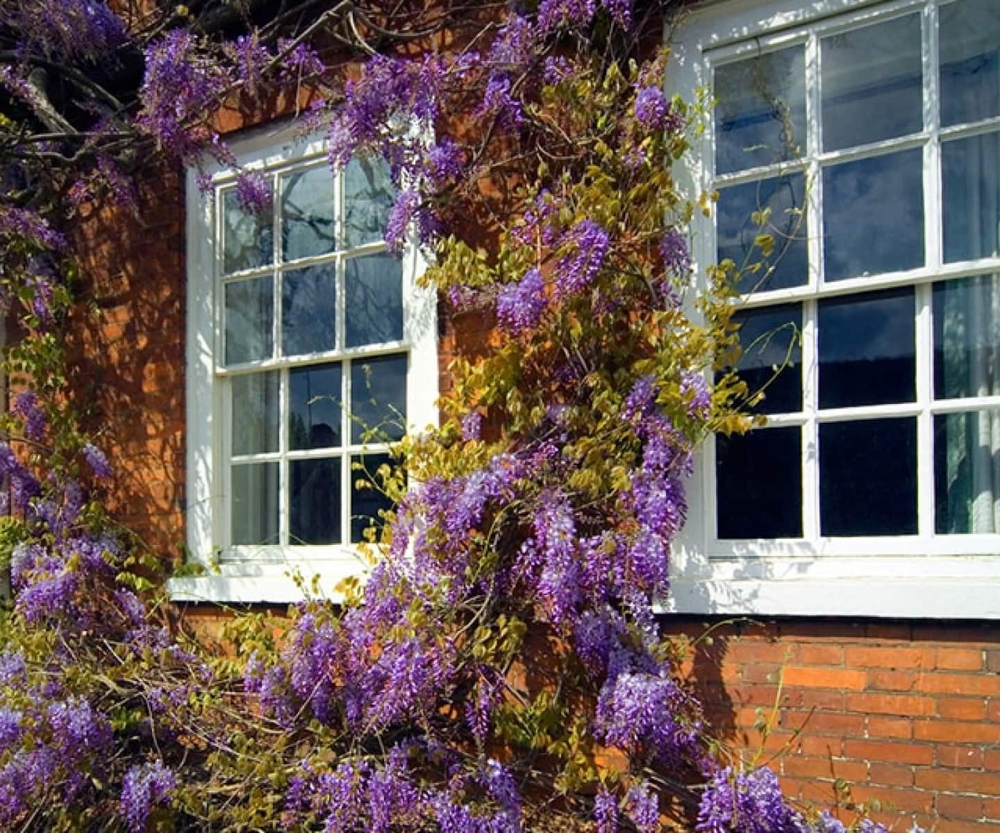 Wooden Windows in Stoke on Trent | Timber Windows