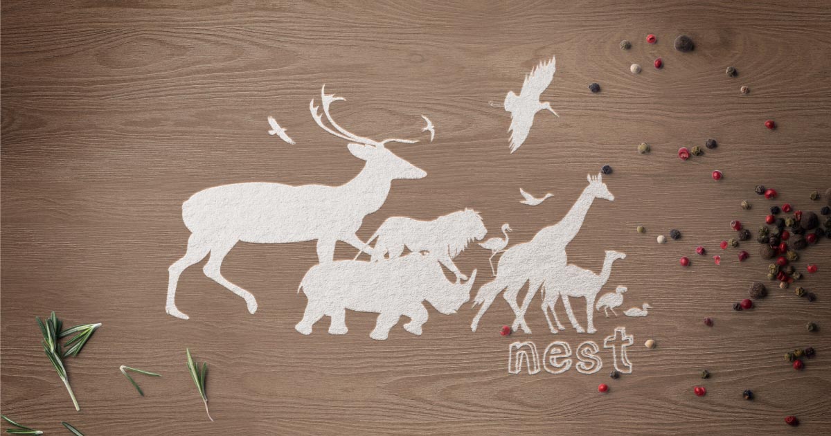 Nest | Graphic Design & Branding | REFORM - Cyprus