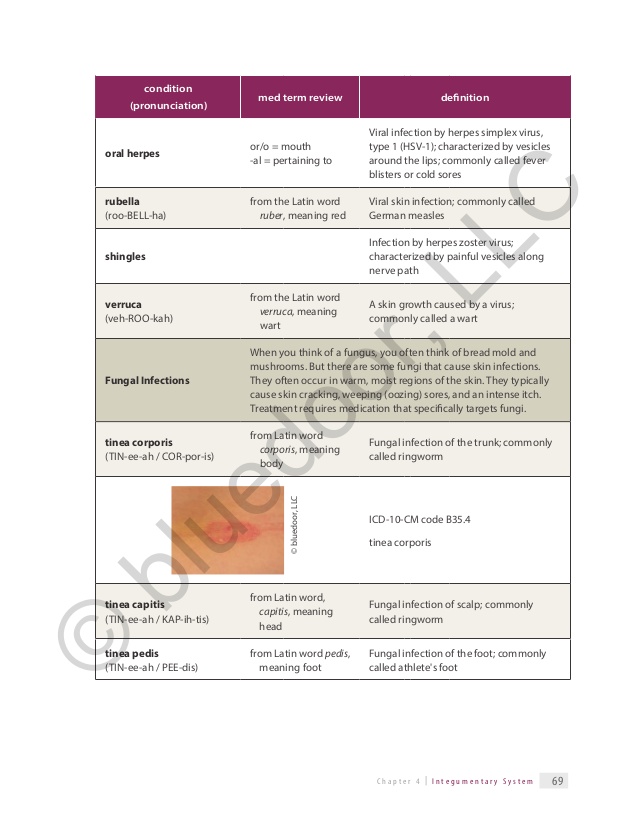 Integrated Anatomy and Physiology for Allied Health • bluedoor Publishing