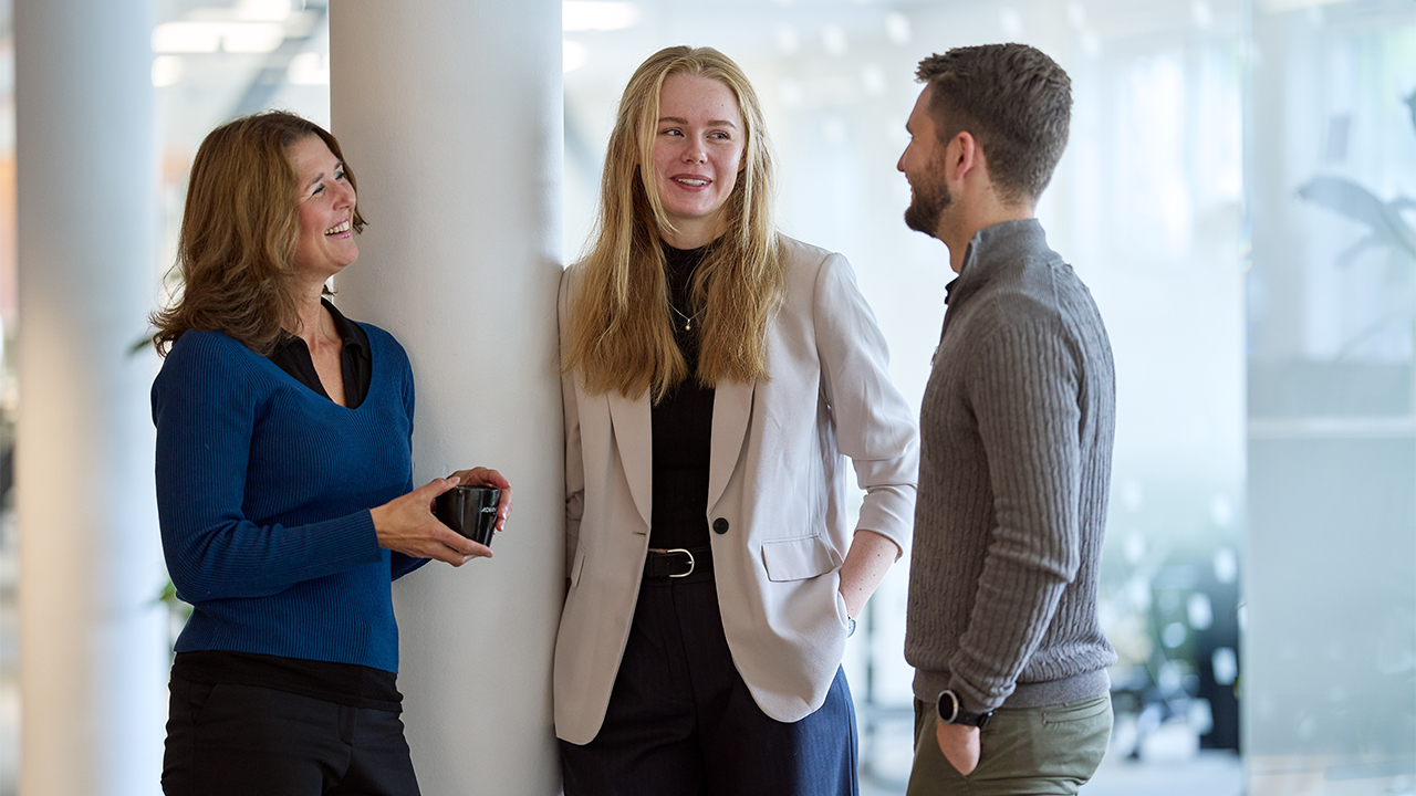 Kalkulasjon - Advansia