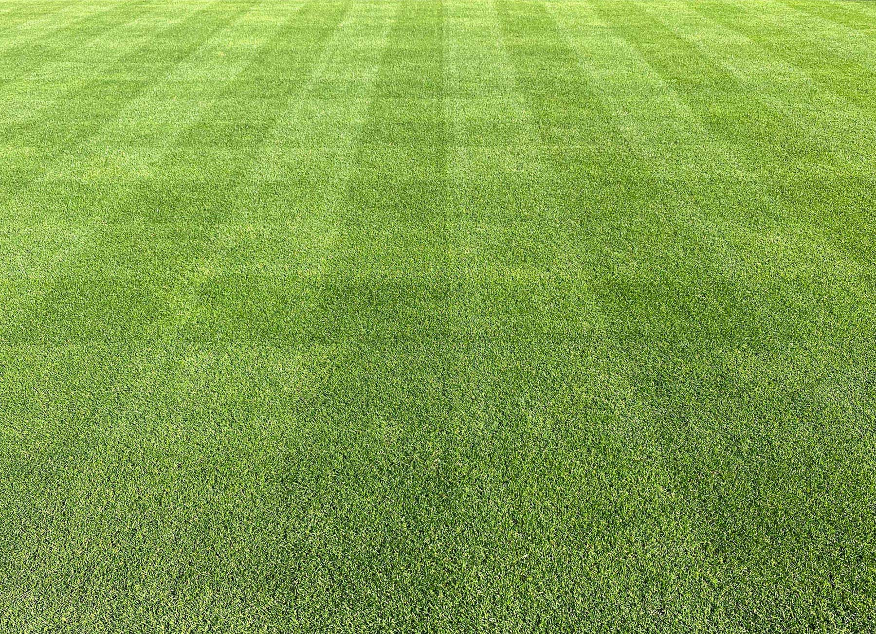 Abbott Lawns — Custom Fairway Lawns