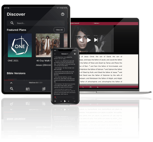 Bible Brain - Faith Comes By Hearing