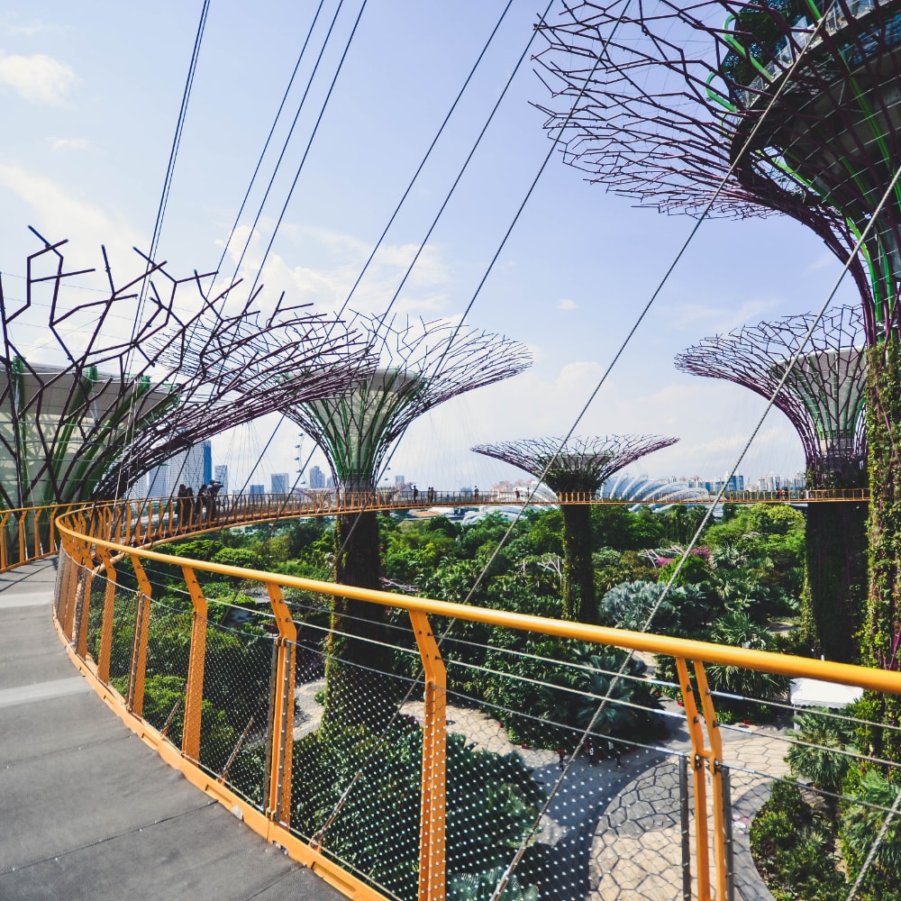 Urban adaptation - sustainable cities, productive environments ...