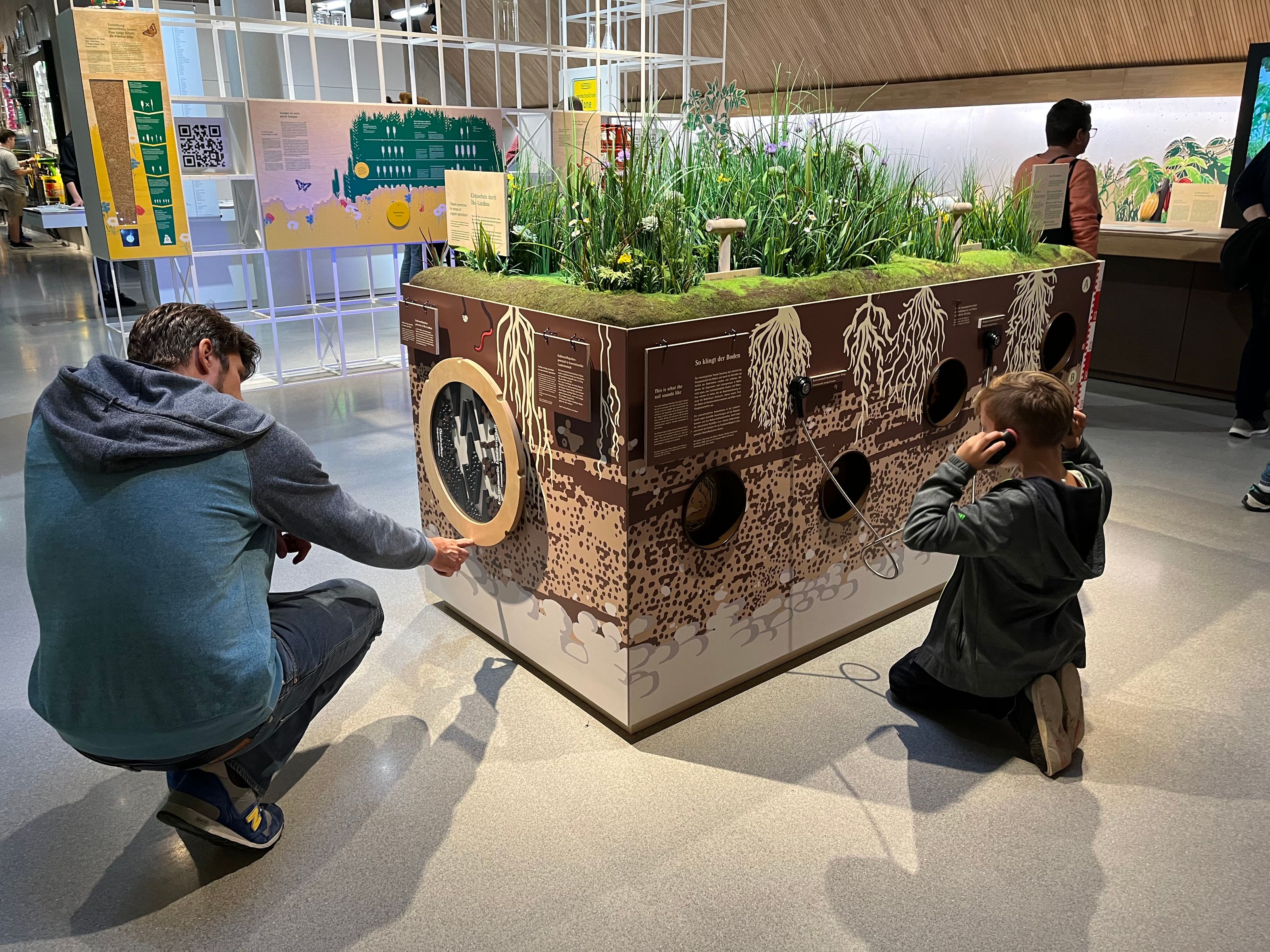 Museum im Rapunzel Besucherzentrum