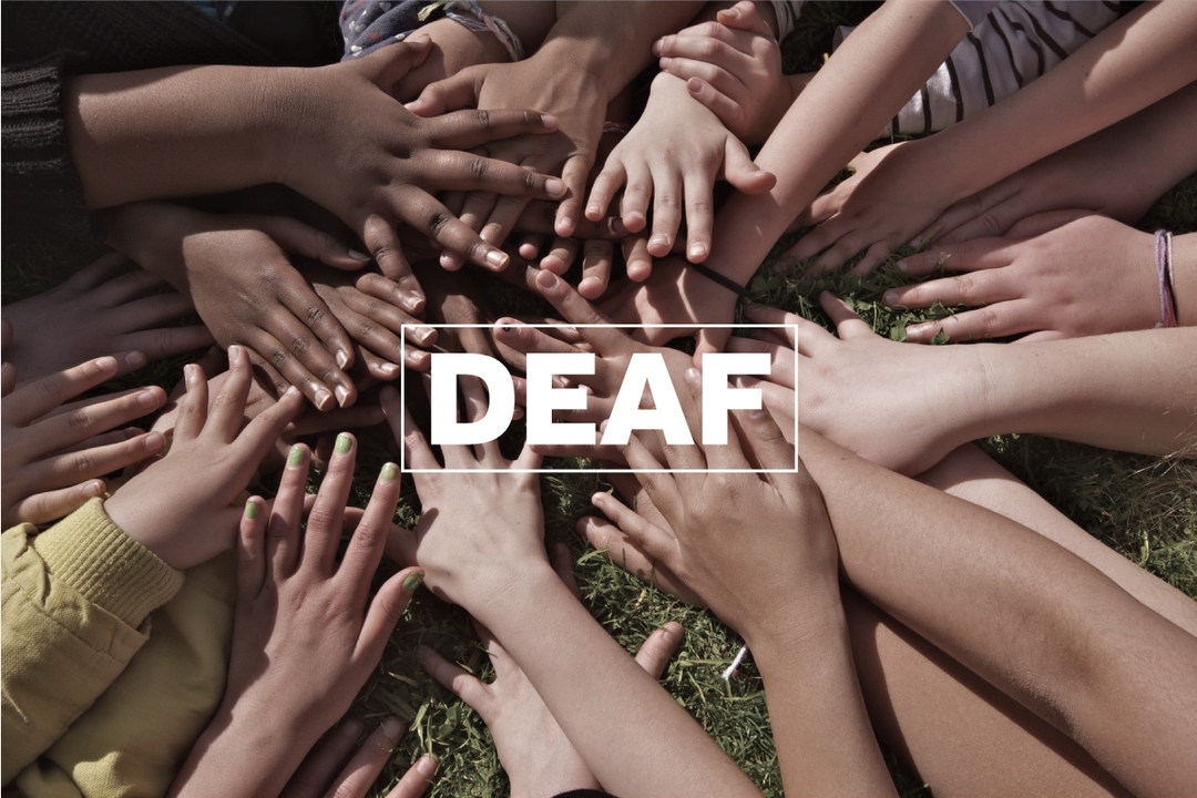 Connect • Celebration Church