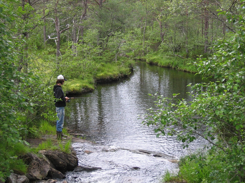 Svåsand–Vassenden - Hikes - Glacier Road