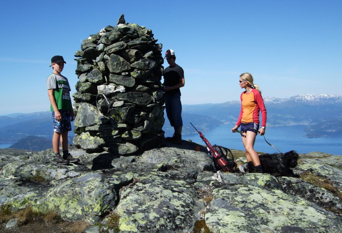 Guided hikes - Mountain - Glacier Road