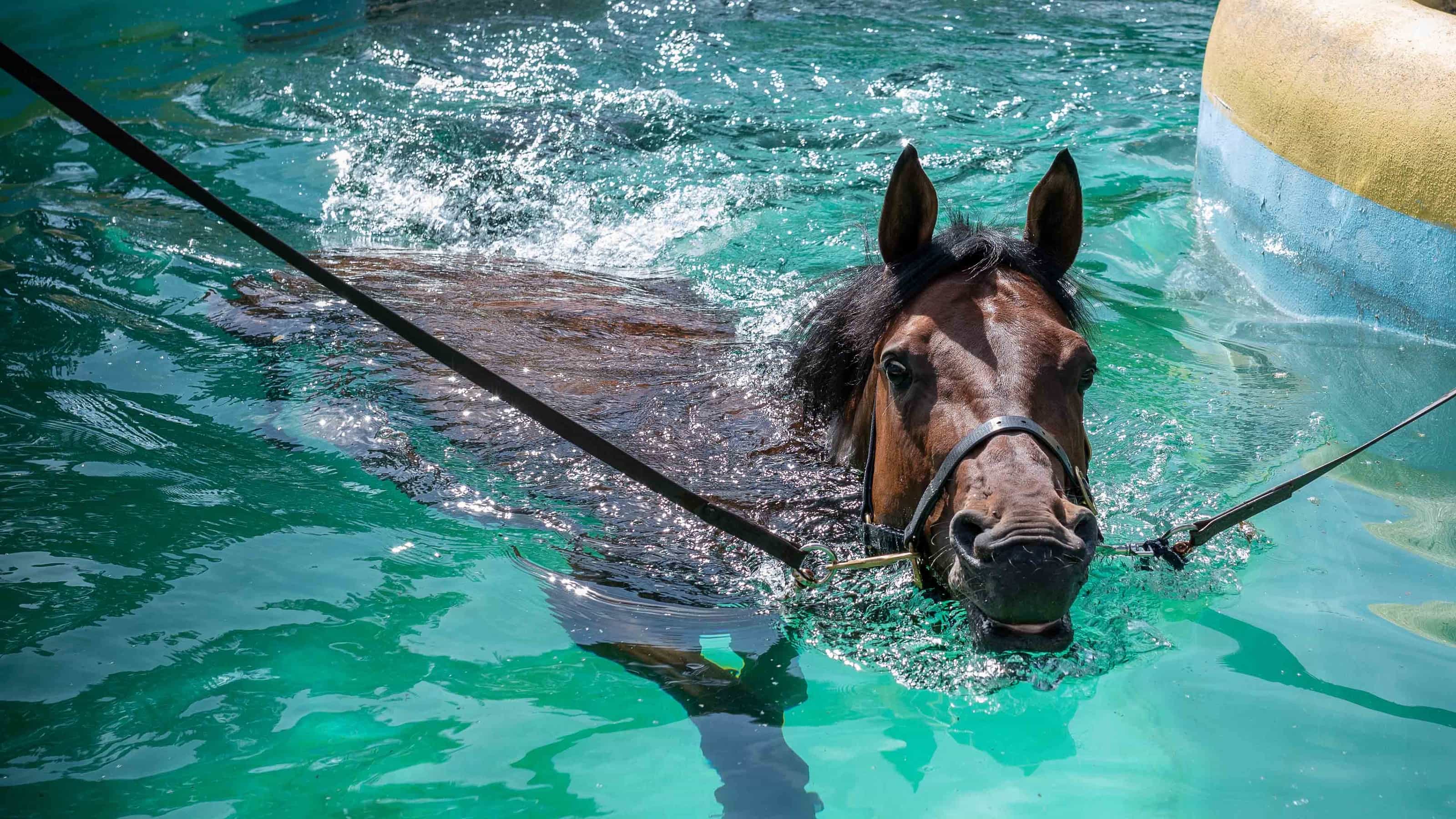 William Knight Racing | Rathmoy Stables | Facilities