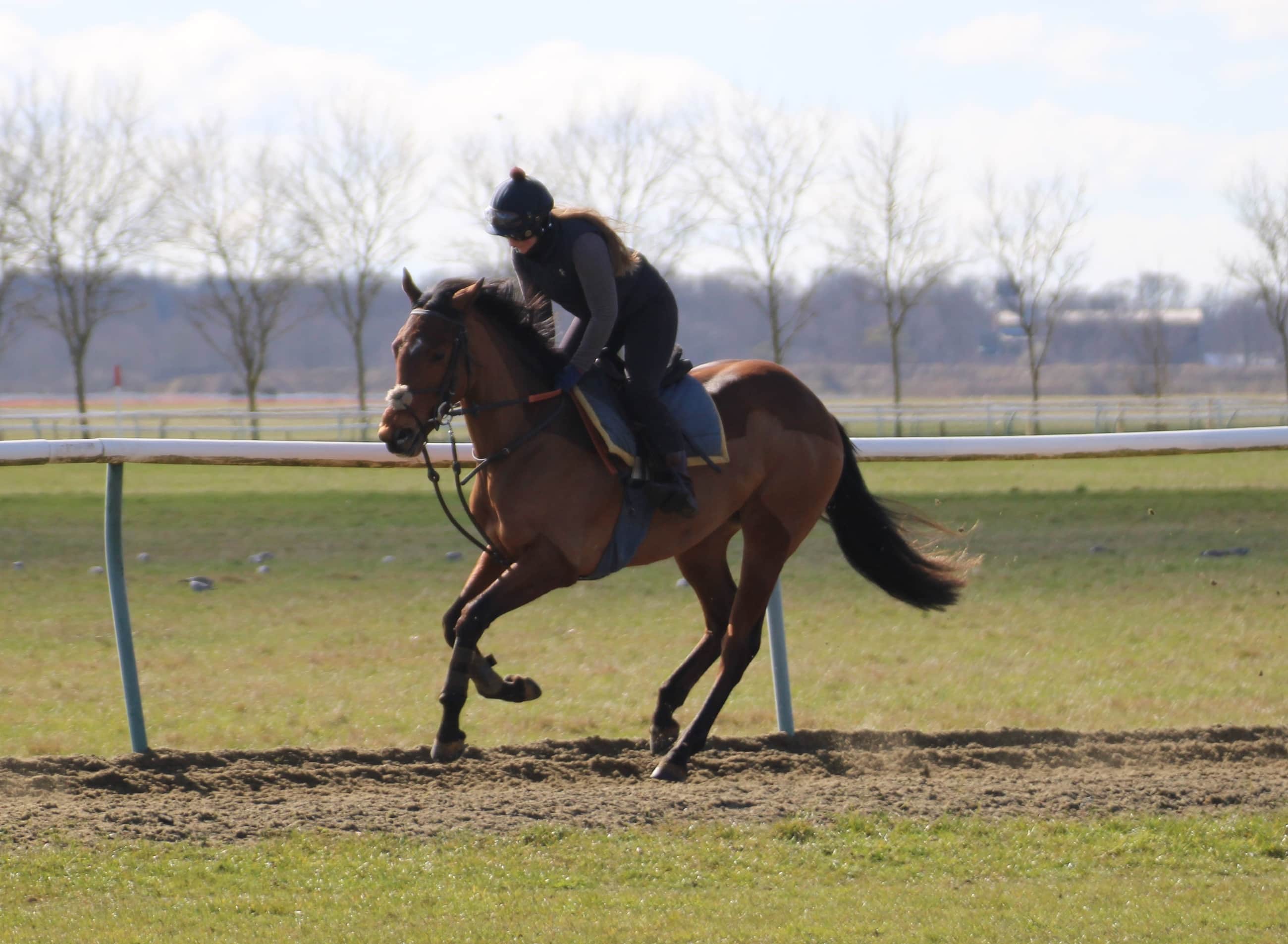 William Knight Racing | Newmarket Thoroughbred Racehorse Trainer ...