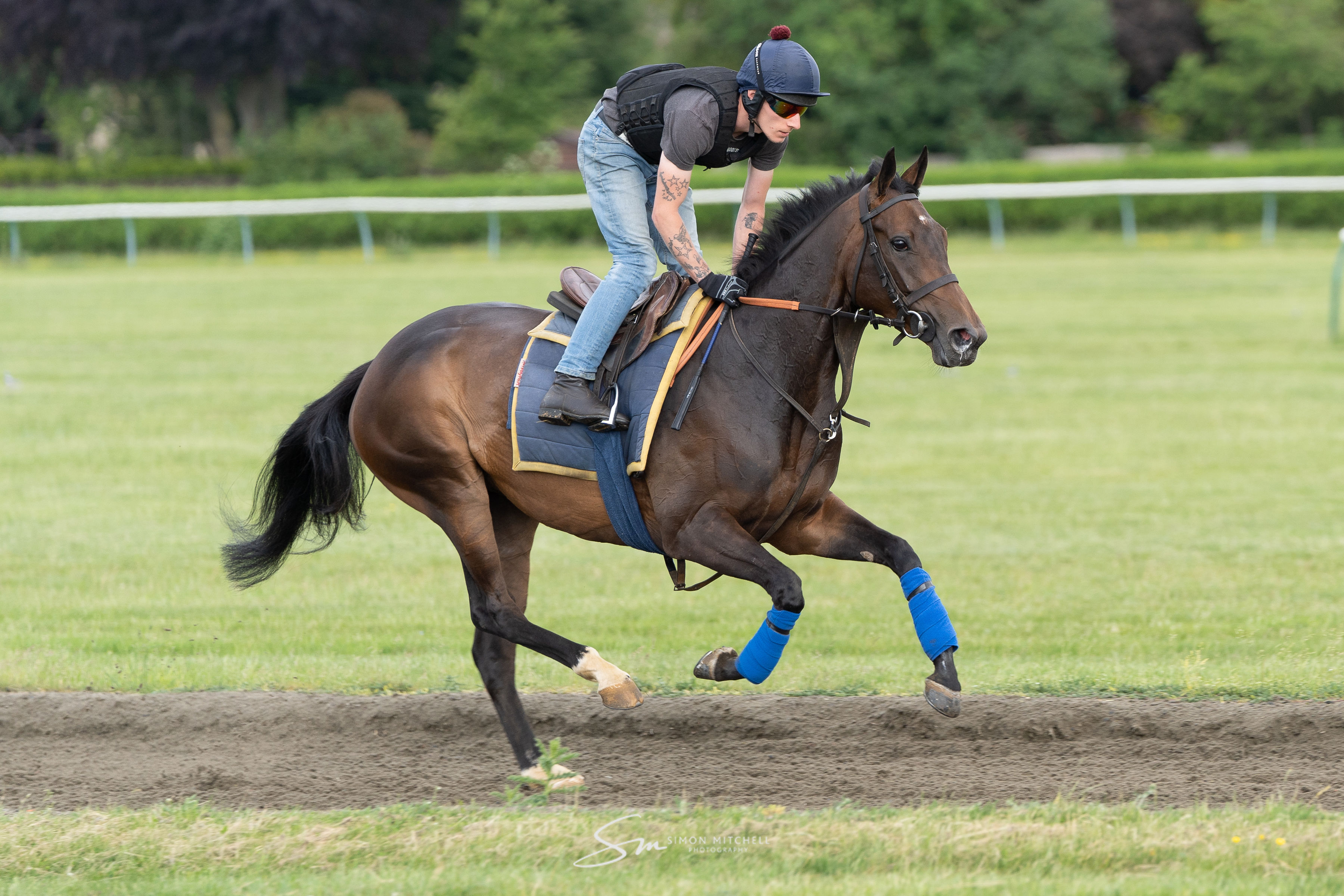 William Knight Racing | Newmarket Thoroughbred Racehorse Trainer ...