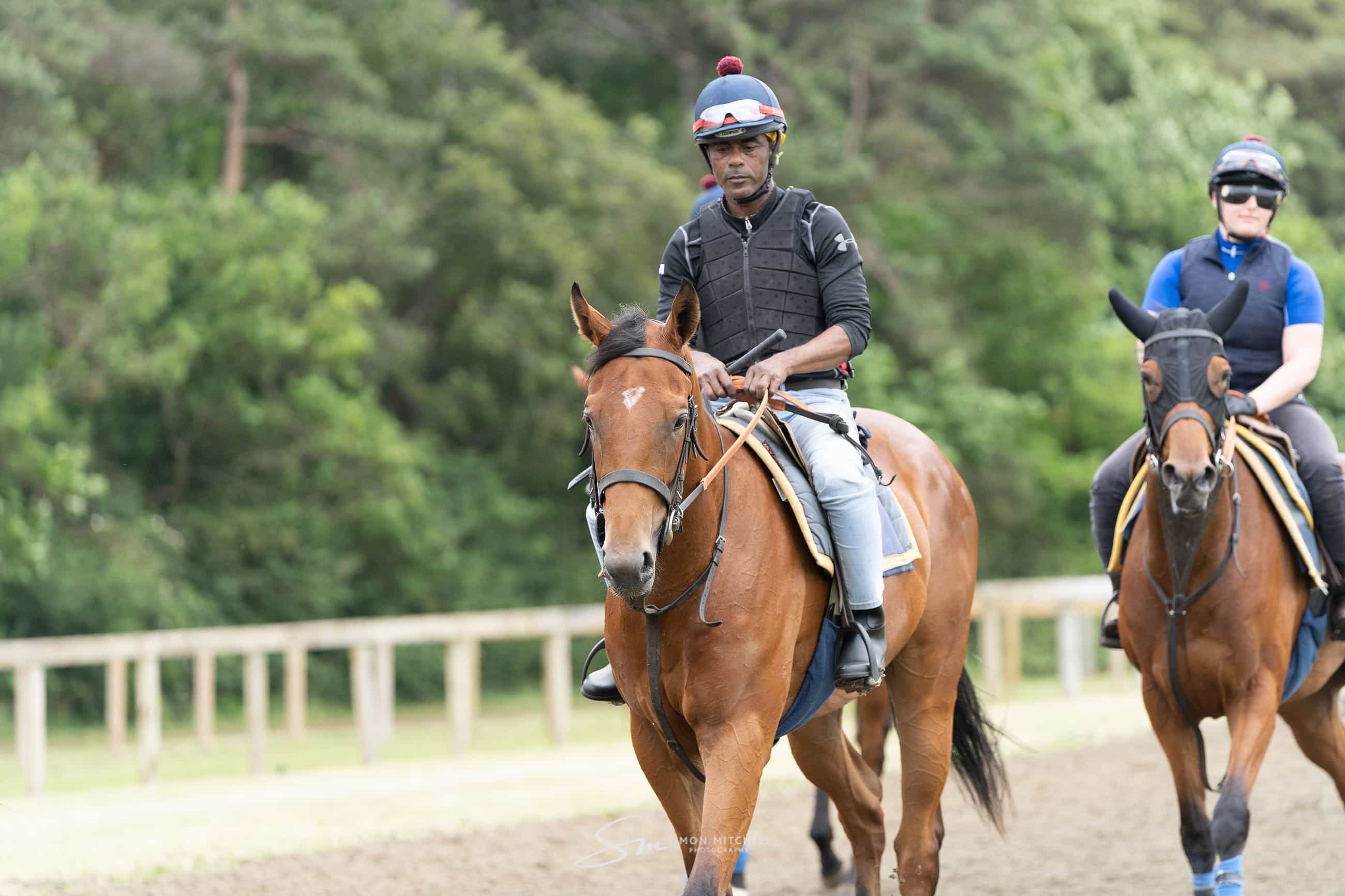 William Knight Racing | Newmarket Thoroughbred Racehorse Trainer ...