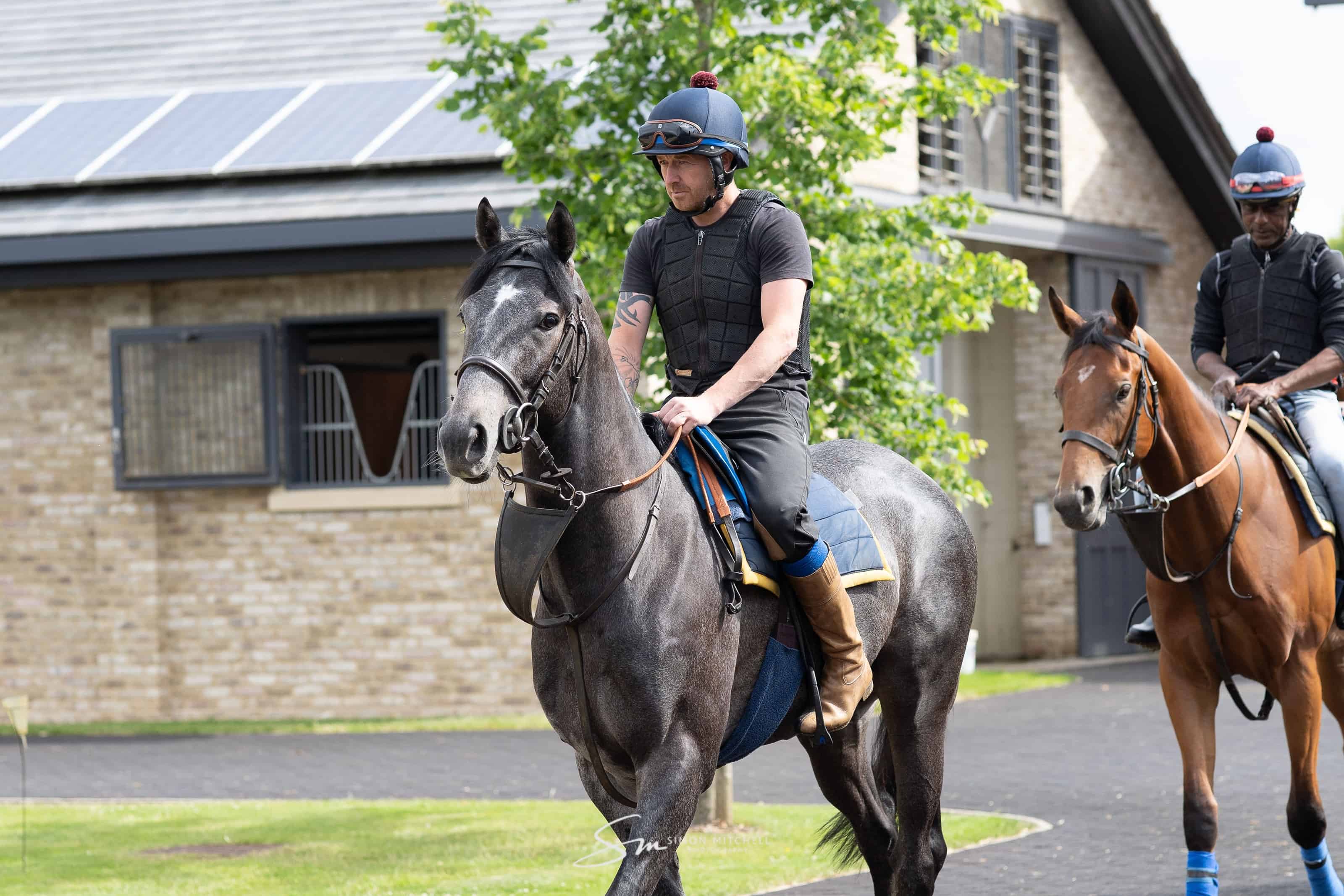 William Knight Racing | Newmarket Thoroughbred Racehorse Trainer ...