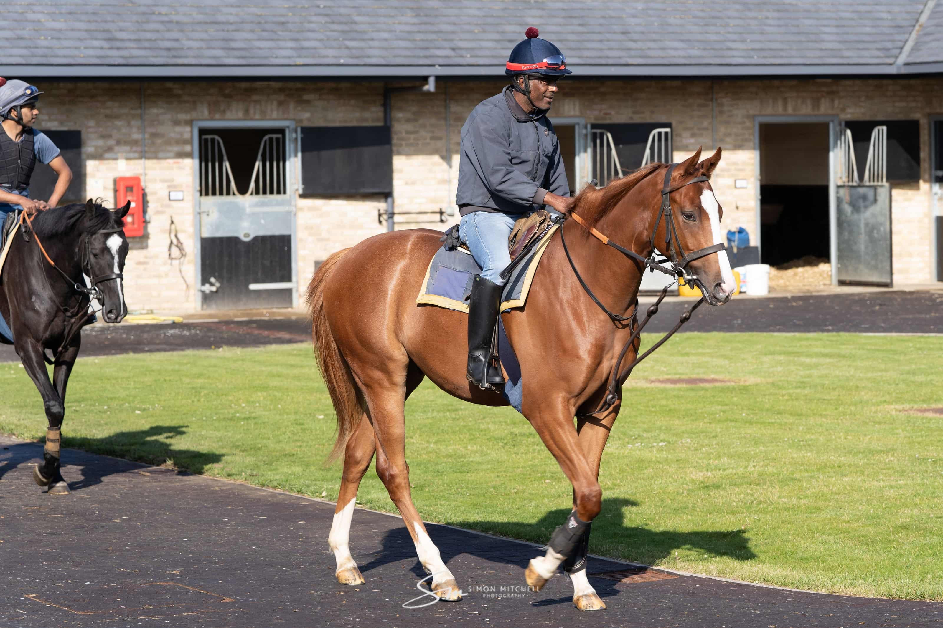 William Knight Racing | Newmarket Thoroughbred Racehorse Trainer ...