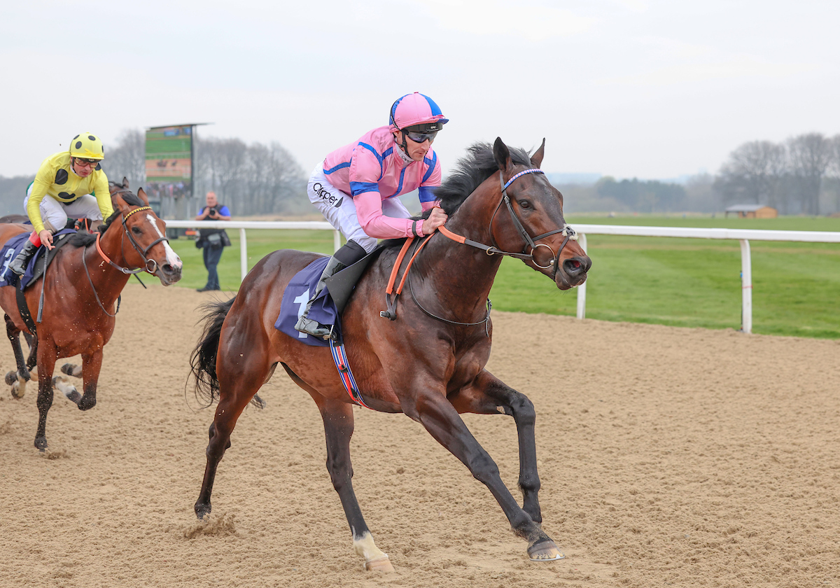 William Knight Racing | Bright Future