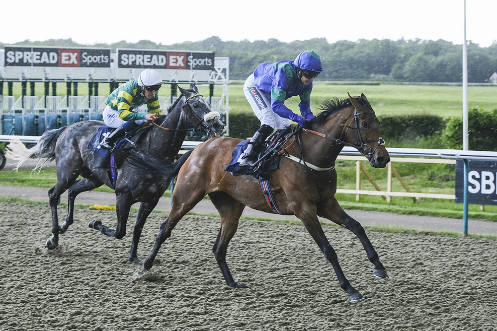 William Knight Racing | Sunday Stroll