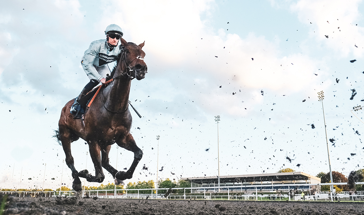 William Knight Racing | Life's A Beach