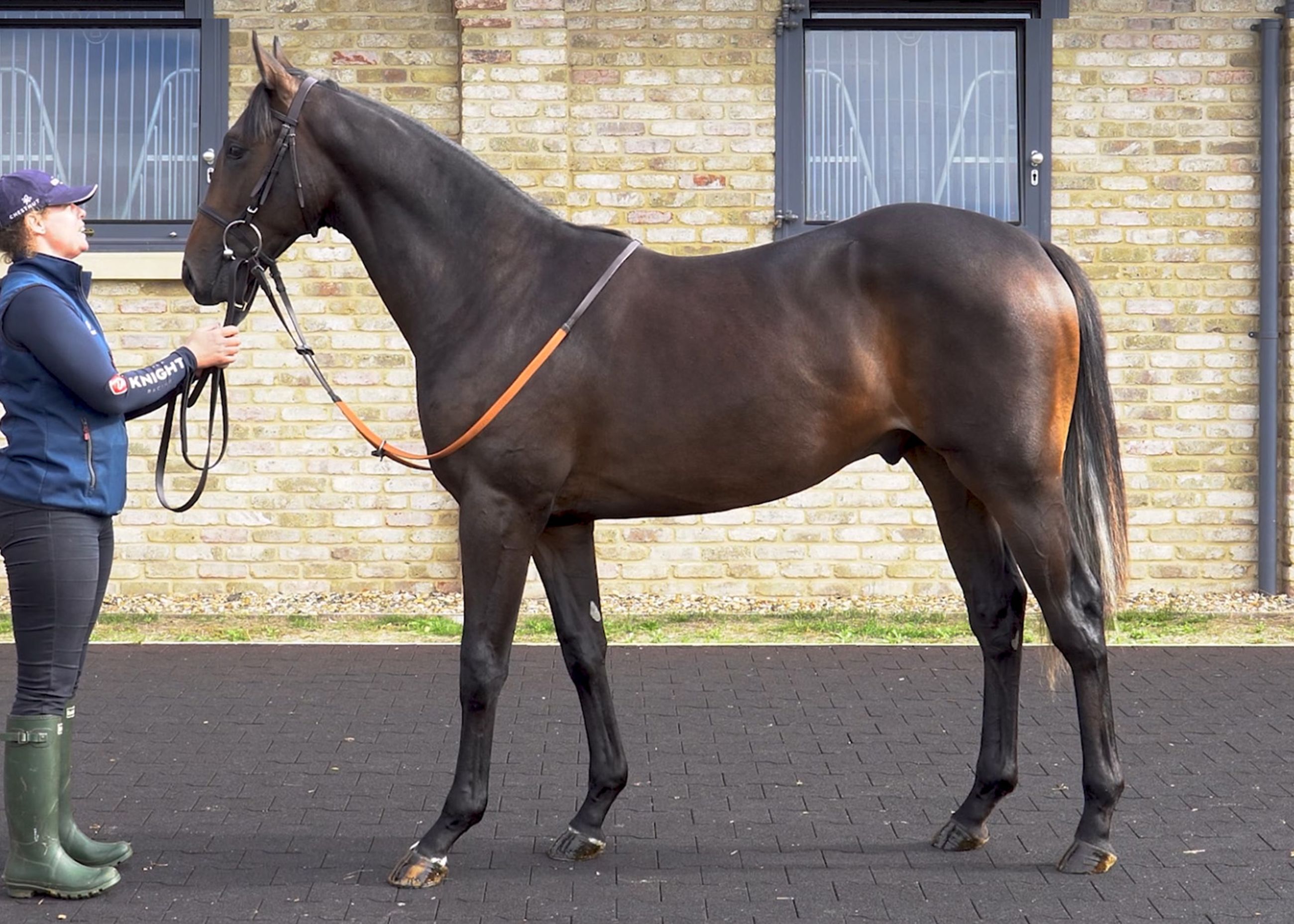 William Knight Racing | Newmarket Thoroughbred Racehorse Trainer ...