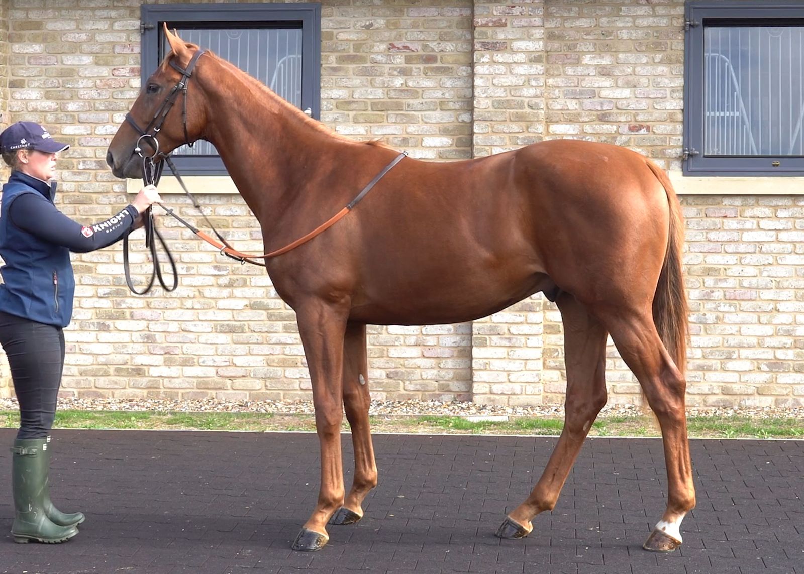 William Knight Racing | Newmarket Thoroughbred Racehorse Trainer ...