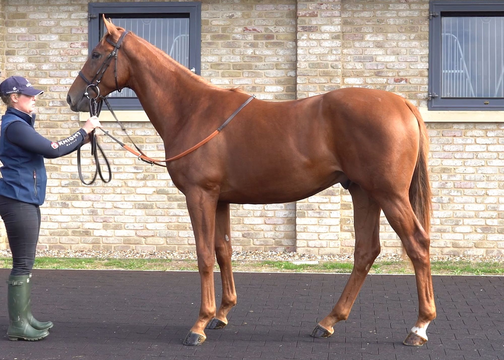 William Knight Racing | Newmarket Thoroughbred Racehorse Trainer ...