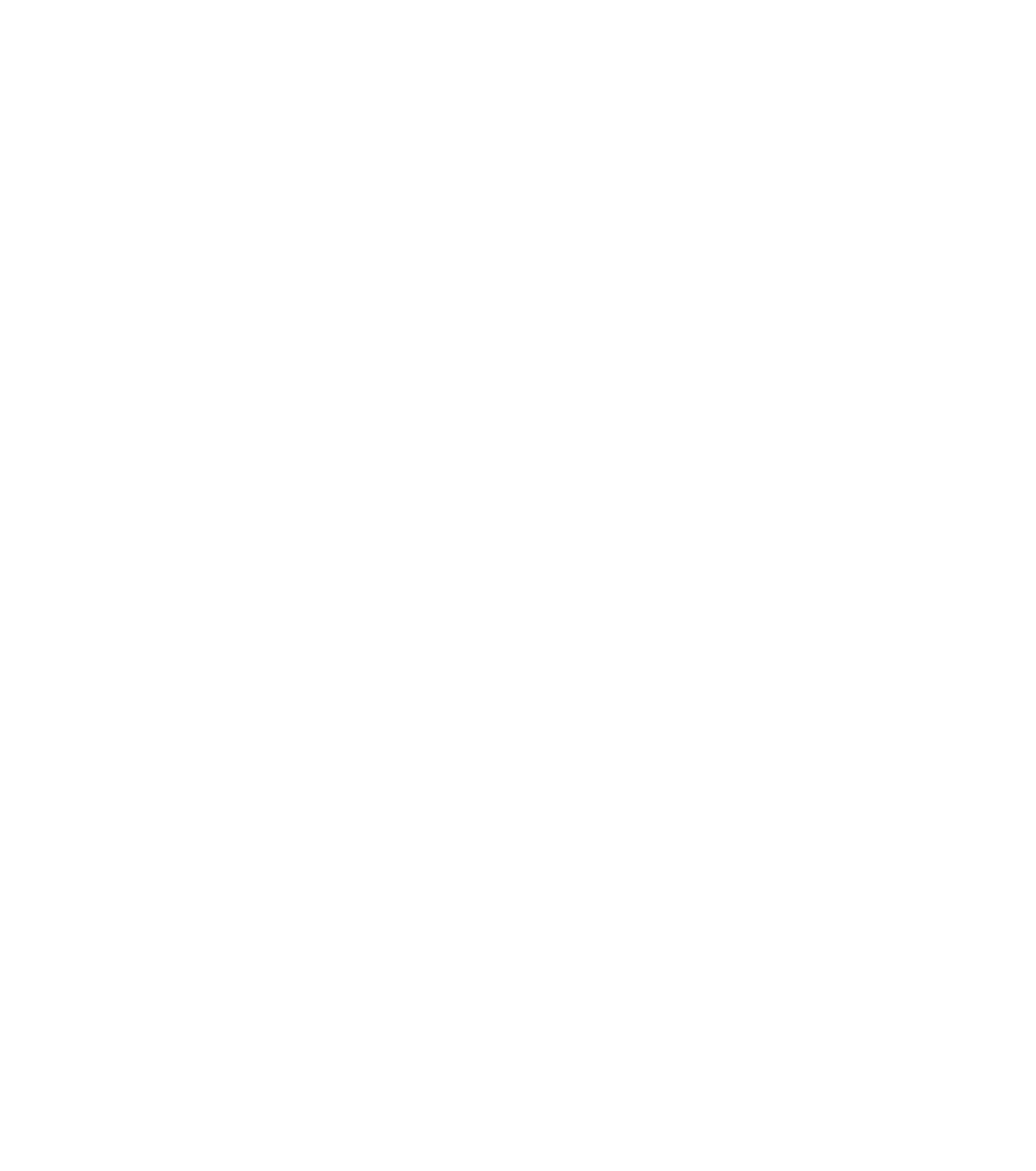 Opticca Security | About Us