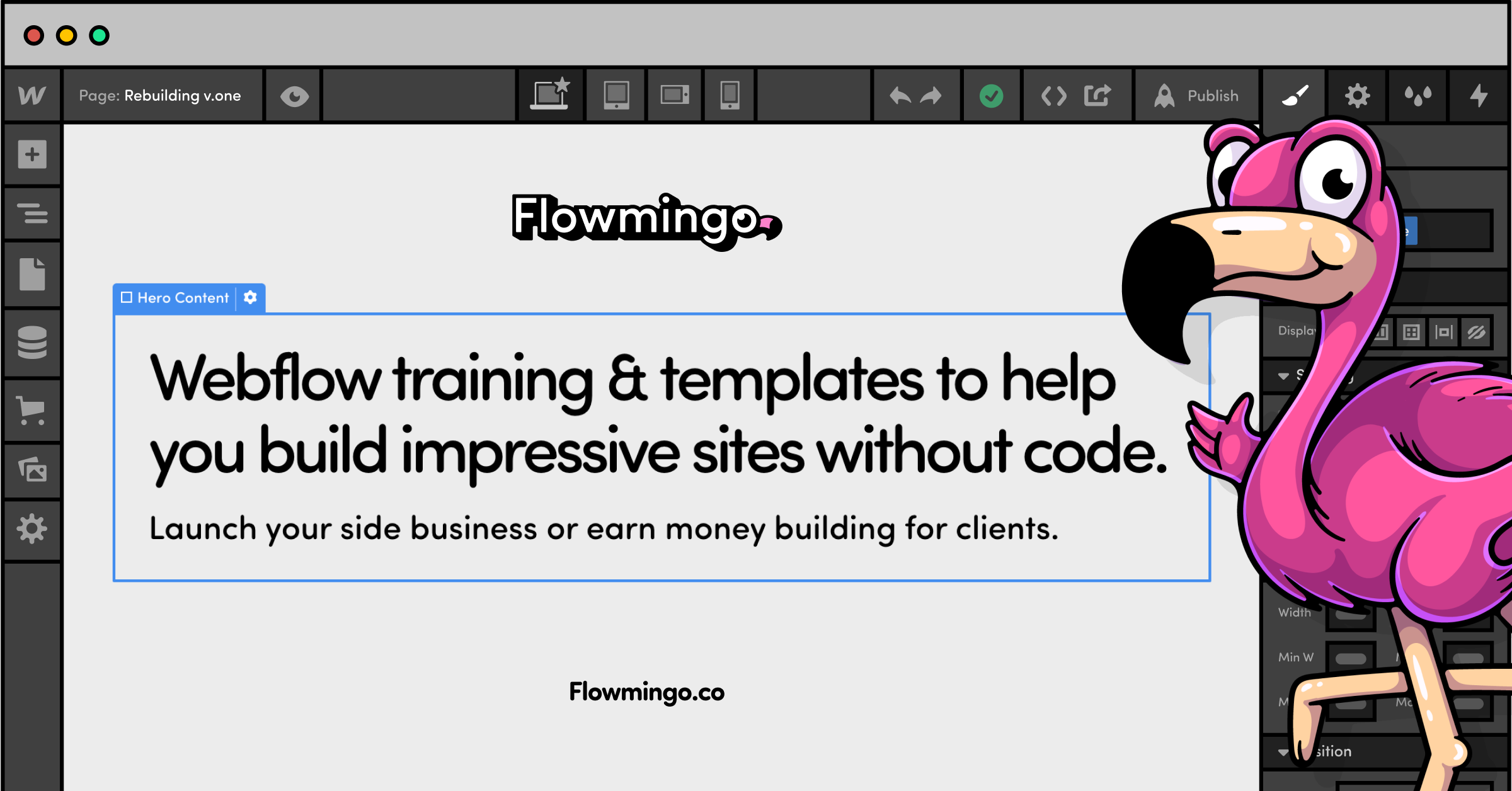 Flowmingo - Webflow training & templates to help you build & launch ...