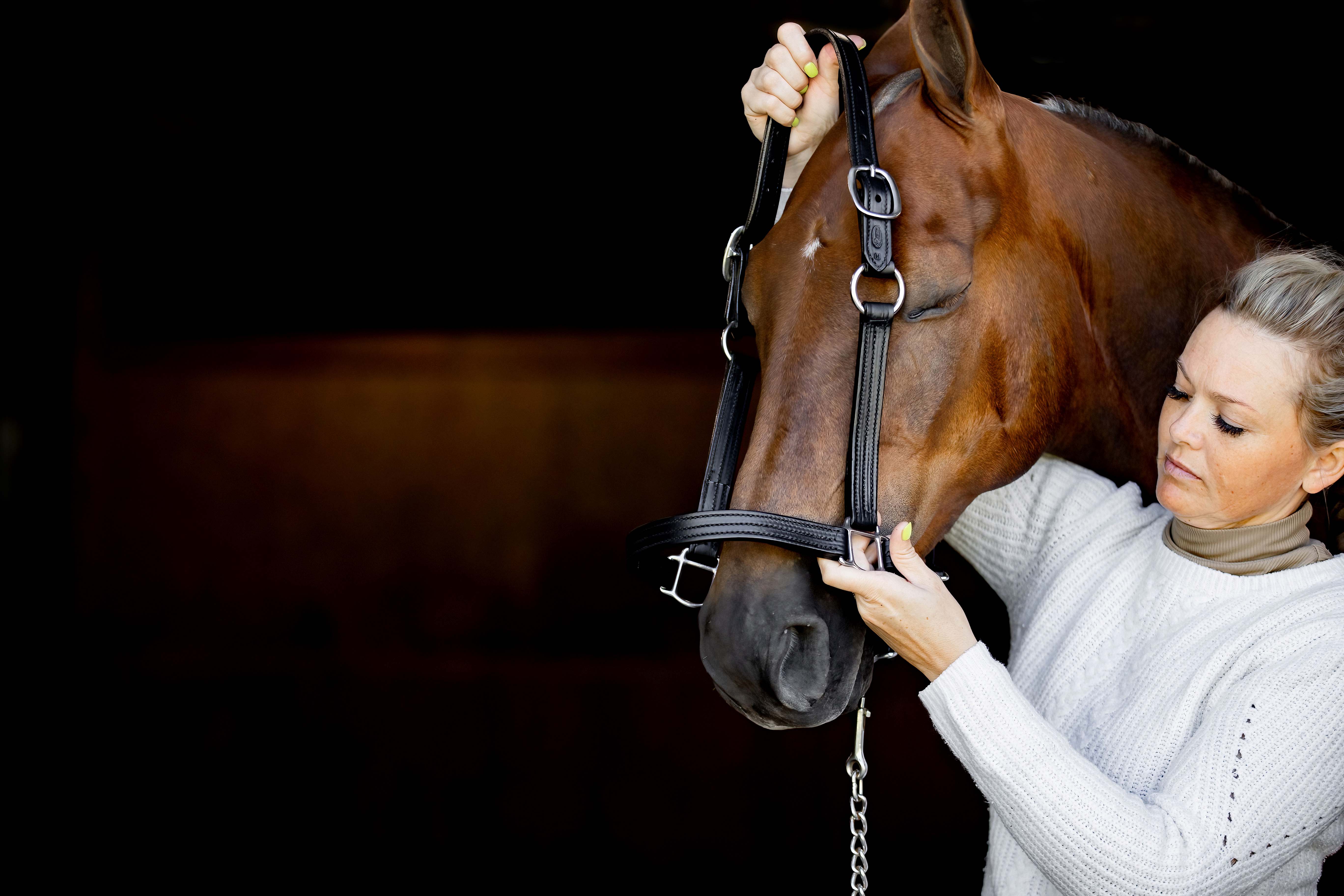 🏠 Shelby Horse Supply - Equine Tack and Leather Store