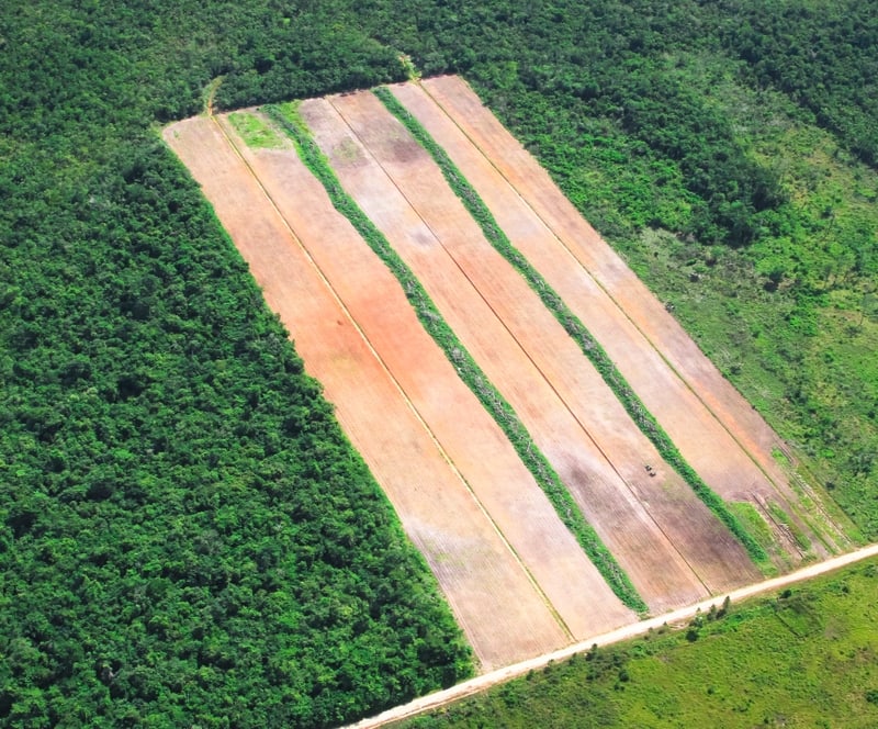 Protera: Safe, Sustainable & Affordable Food Ingredients