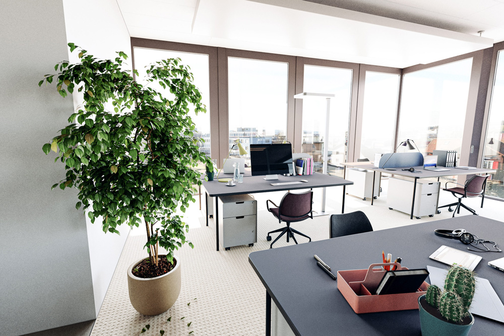 Alpha Building - Building for Leading Companies