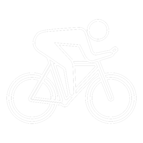 Virtual PT NYC - Telehealth & Online Physical Therapy