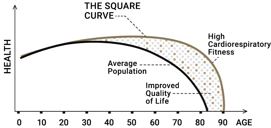 Energy System Training | RFP Training | Science Behind Working Out