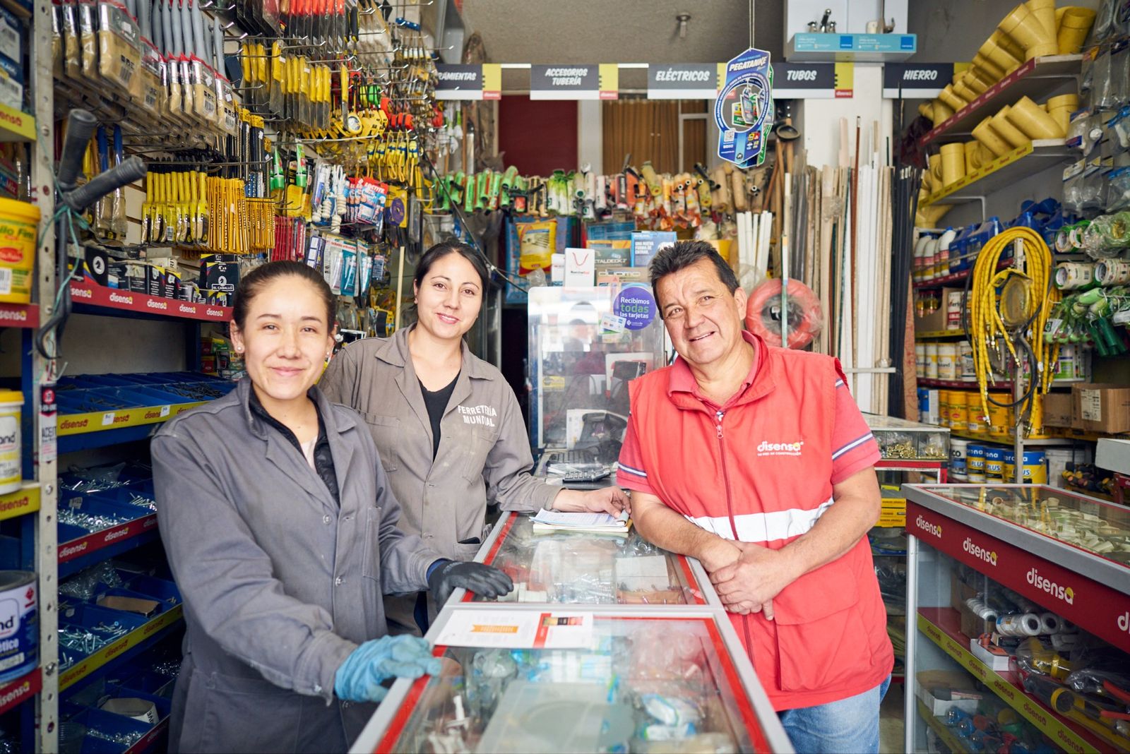 Bienvenido a Disensa