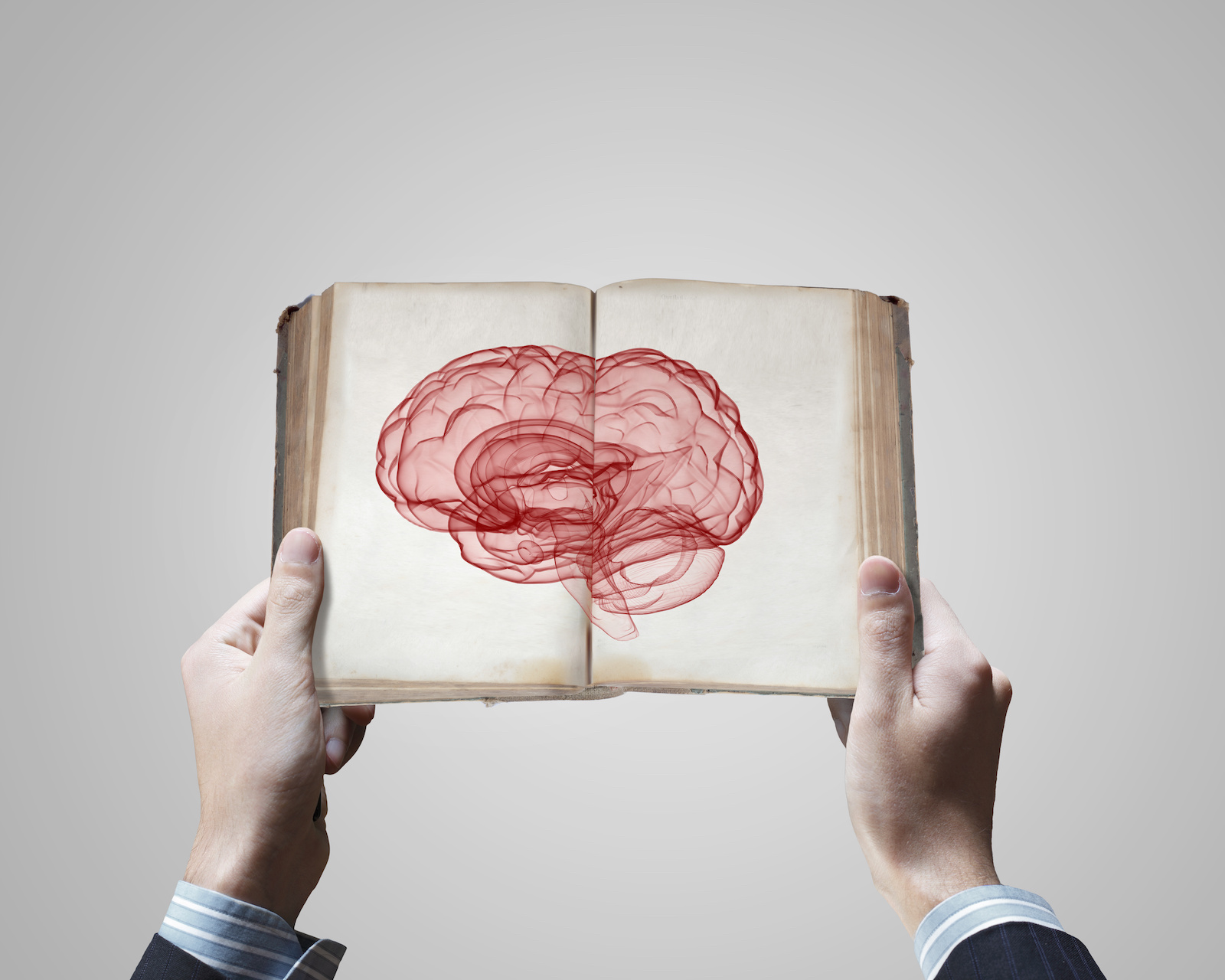 6 Books About Your Brain and Neuroplasticity - Easy Reads! // Clarity ...
