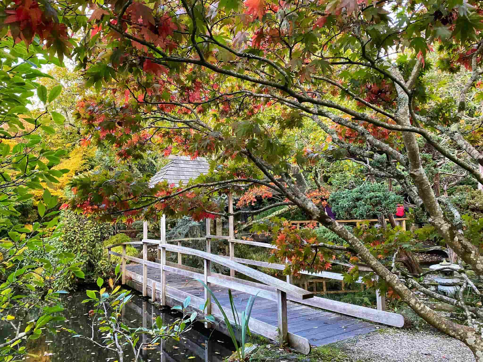 Autumn in Cornwall | The Journal