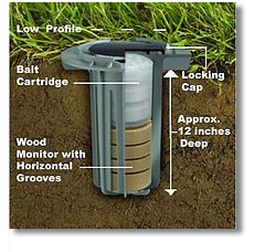 Termite Control & Treatment - MD, VA, WV