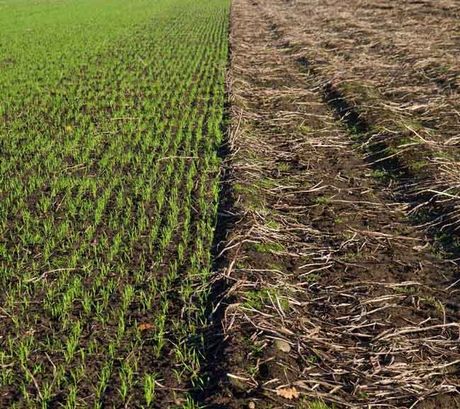 Soil Structure Assessment | Soil Matters Soil Consultants