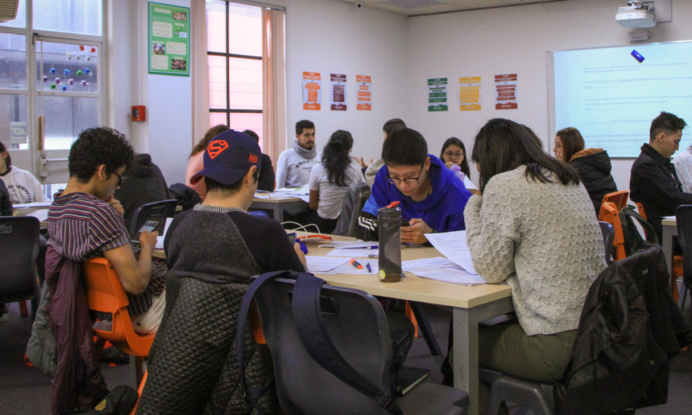 Study English in Auckland | Seafield School of English