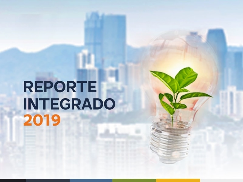 Reporte Integrado 2019