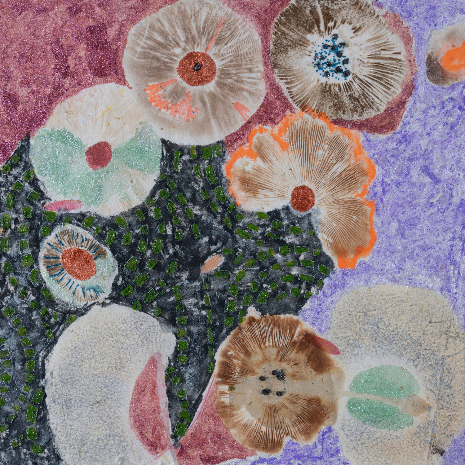 Mushroom Spore Prints