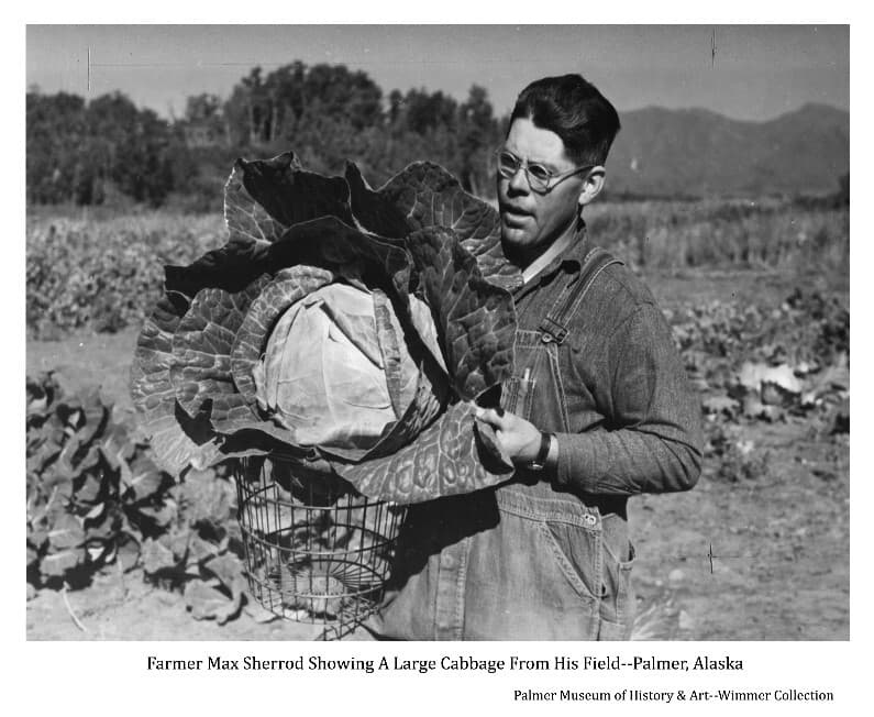 Colony Farm 20 - Matanuska Valley Historical Photo Project