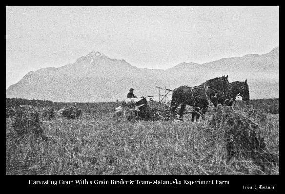 Farms and Farming - Matanuska Valley Historical Photo Project