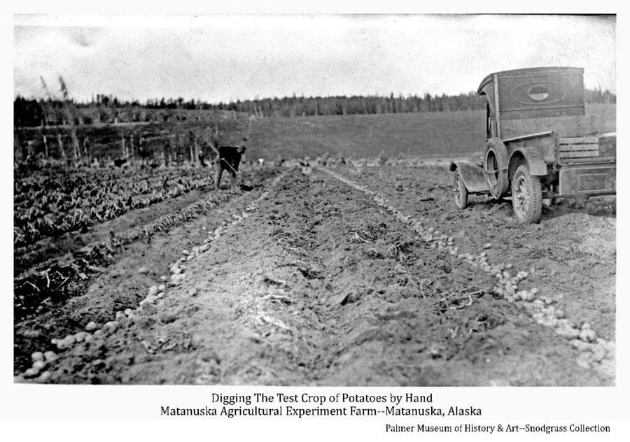 Snodgrass Collection, | Matanuska Valley Historical Photo Project