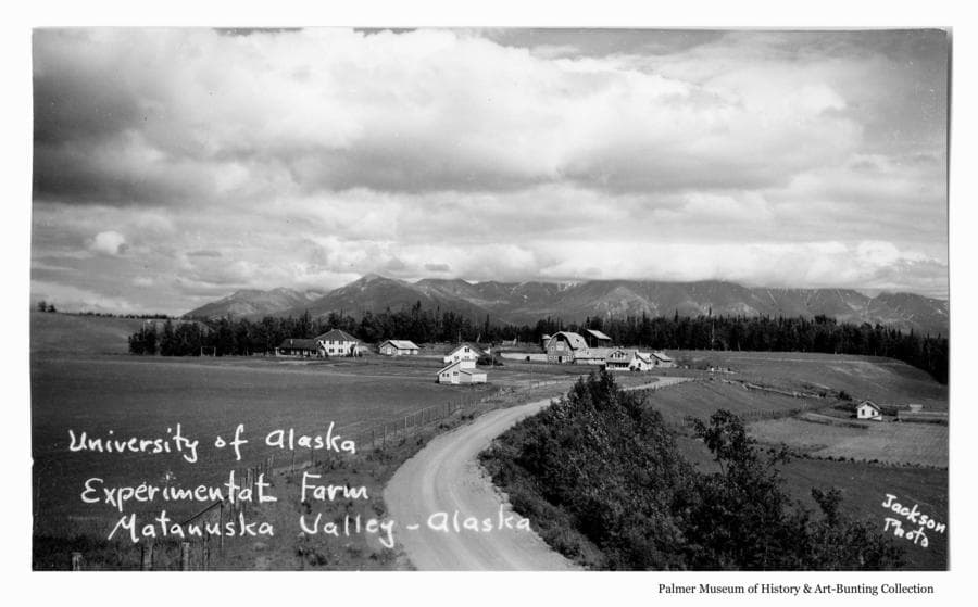 Bunting Collection, 1936-1950 | Matanuska Valley Historical Photo Project