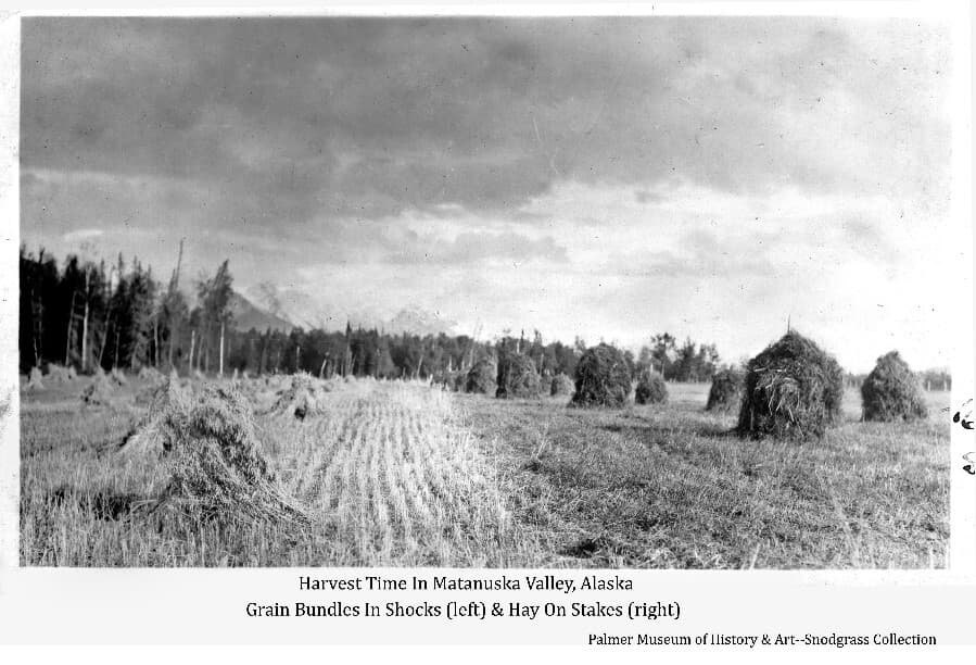 Snodgrass Collection, | Matanuska Valley Historical Photo Project