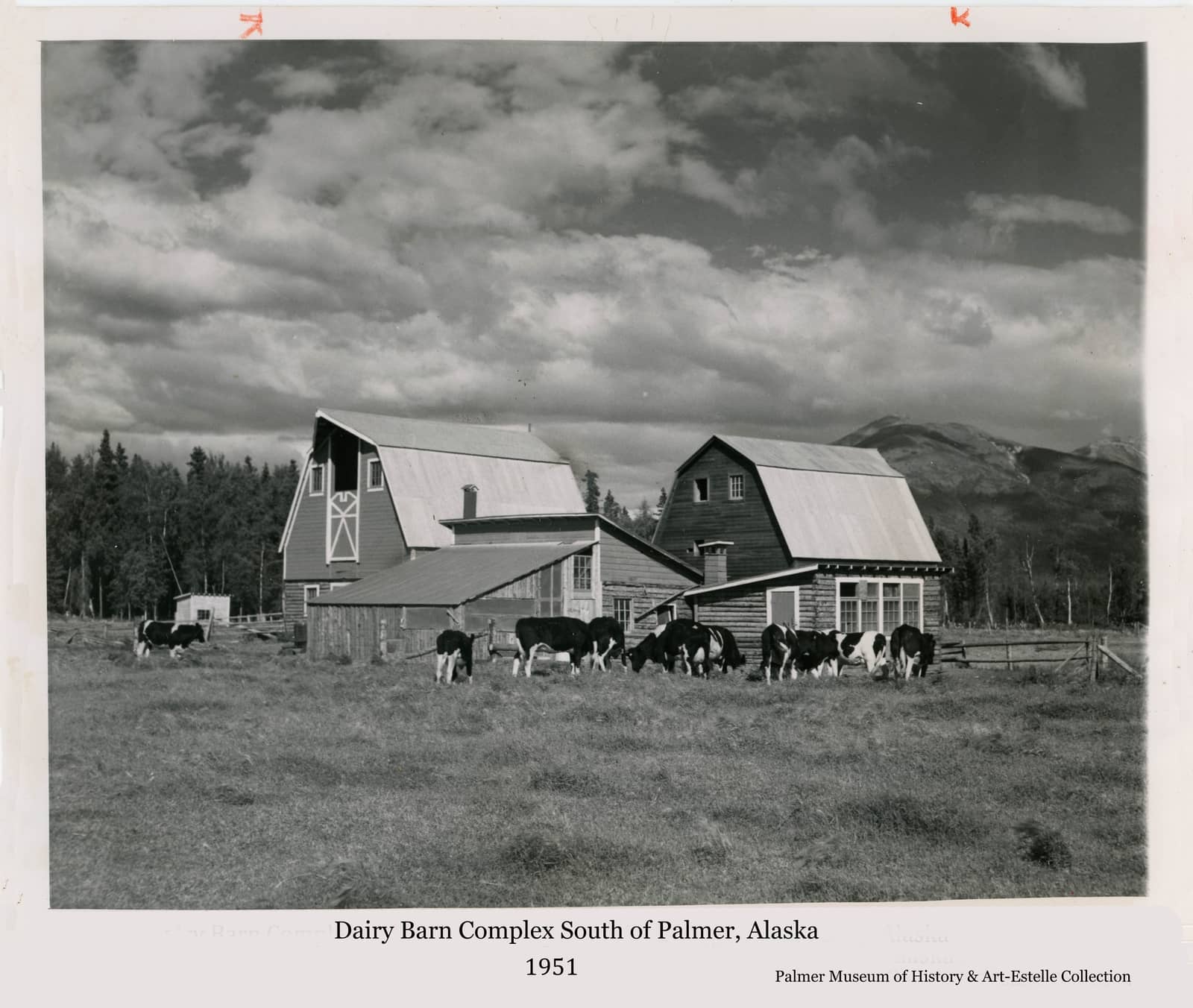 Farms and Farming - Matanuska Valley Historical Photo Project