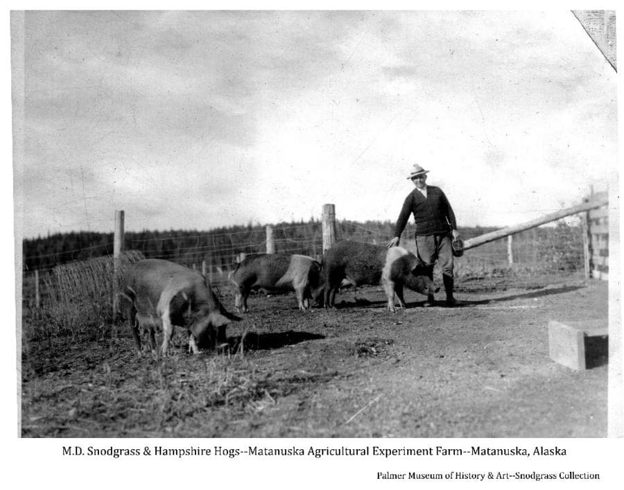 Snodgrass Collection, | Matanuska Valley Historical Photo Project