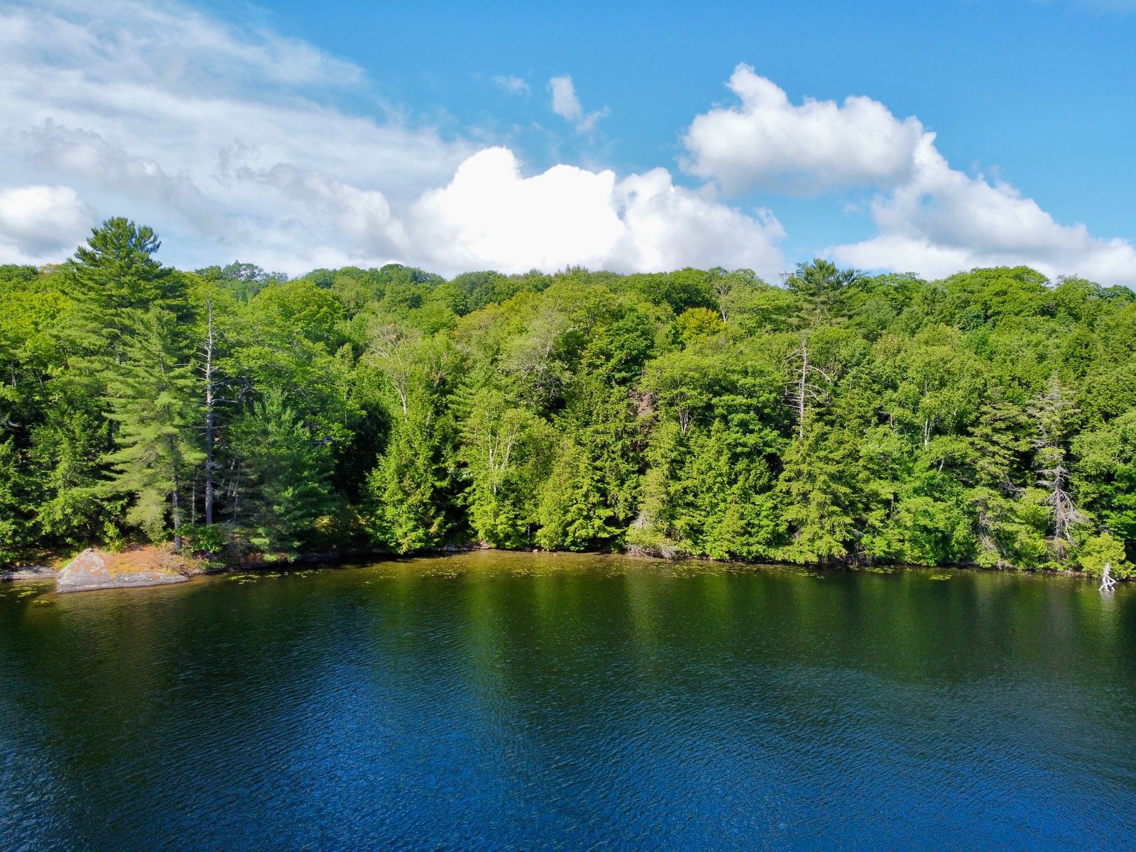 Sandy & Samantha Waldie Real Estate – Cottage Listings – Muskoka Real ...