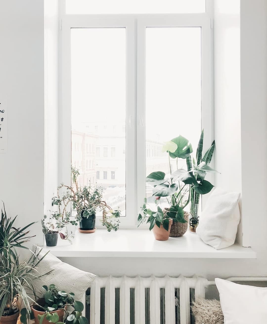 Fenestra - Windows Custom Made in Santiago