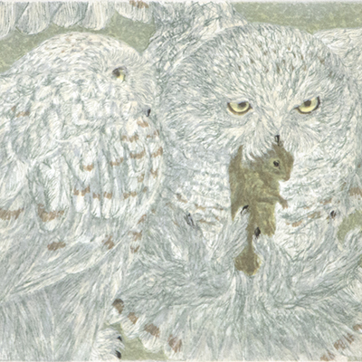 Janet Turner - Jody Klotz Fine Art