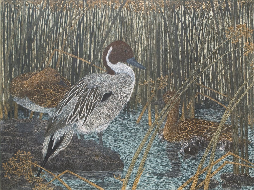 Janet Turner - Jody Klotz Fine Art