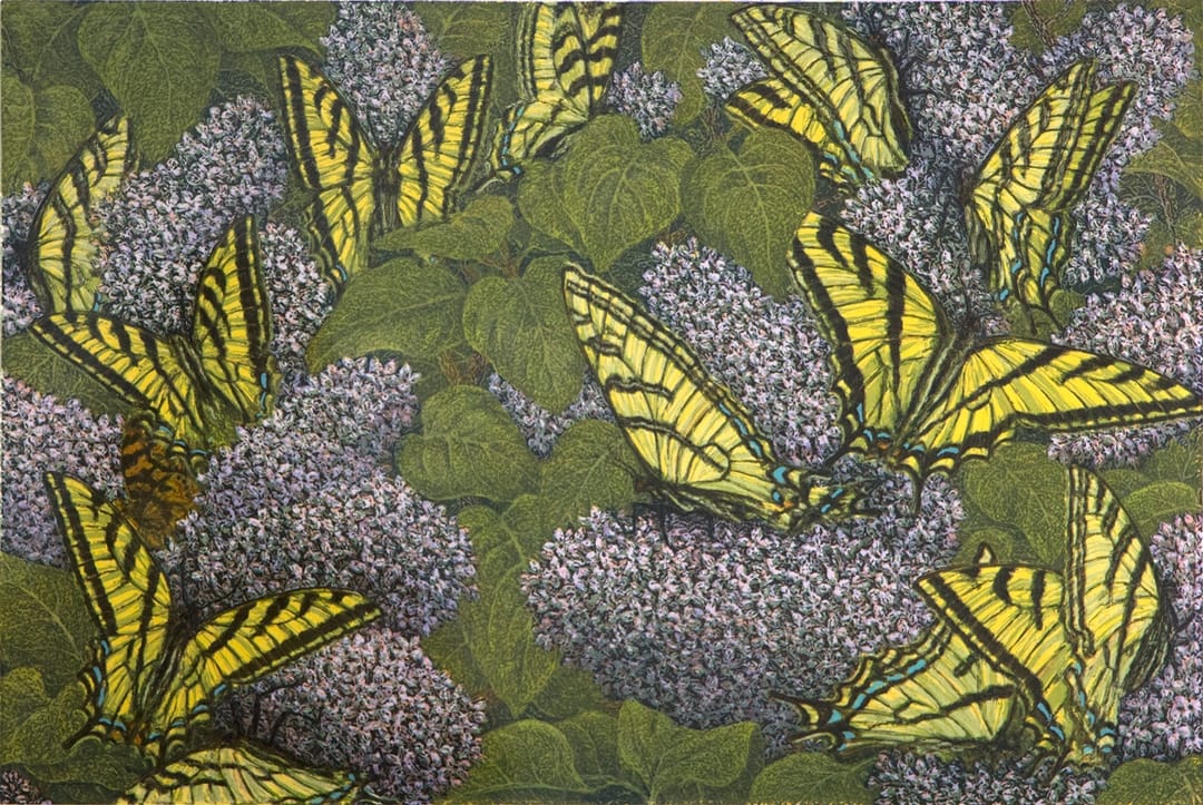 Janet Turner - Swallowtails on Lilacs, circa 1974-1975 - Jody Klotz ...